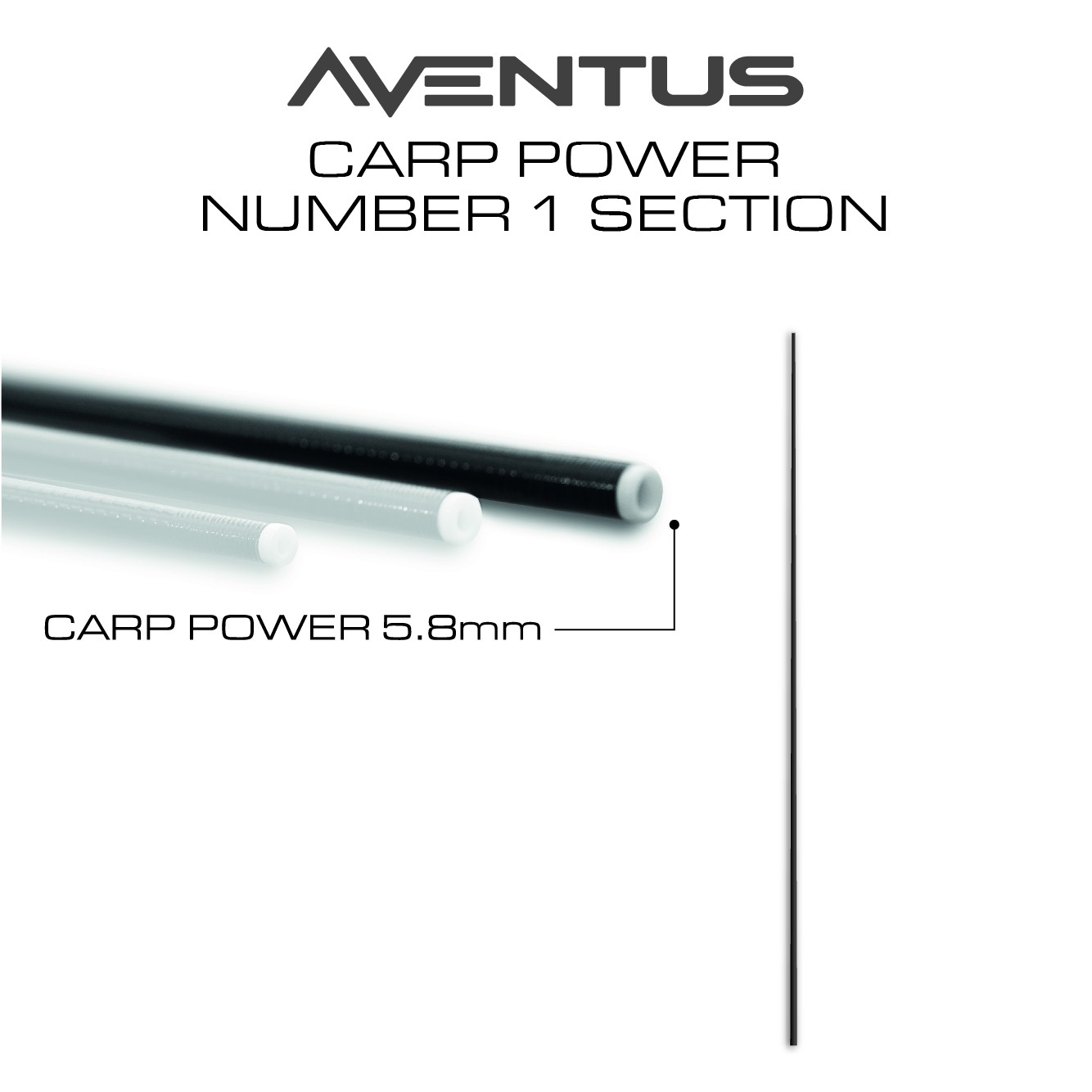 Aventus Carp Power Section No.1 | Tackle Guru