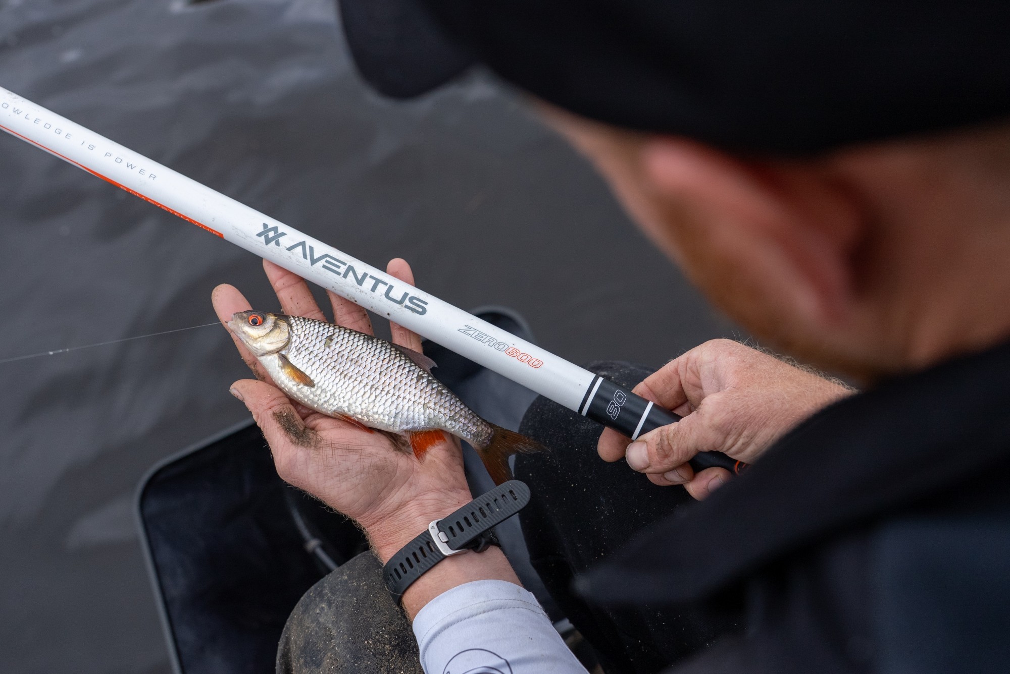 Aventus Zero 600 System Whip Top 2 Hollow Kit | Tackle Guru